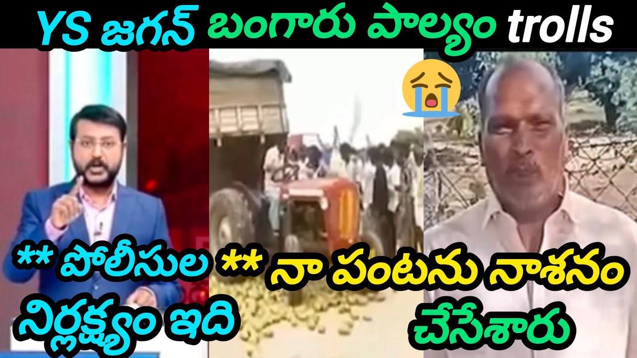 YS JAGAN visit bangarupalyam mango market tour trolls||Sakshi Eshwar ...