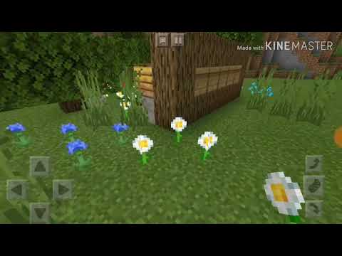 Minecraft - Buzzy Bees Update - Preview - YouTube