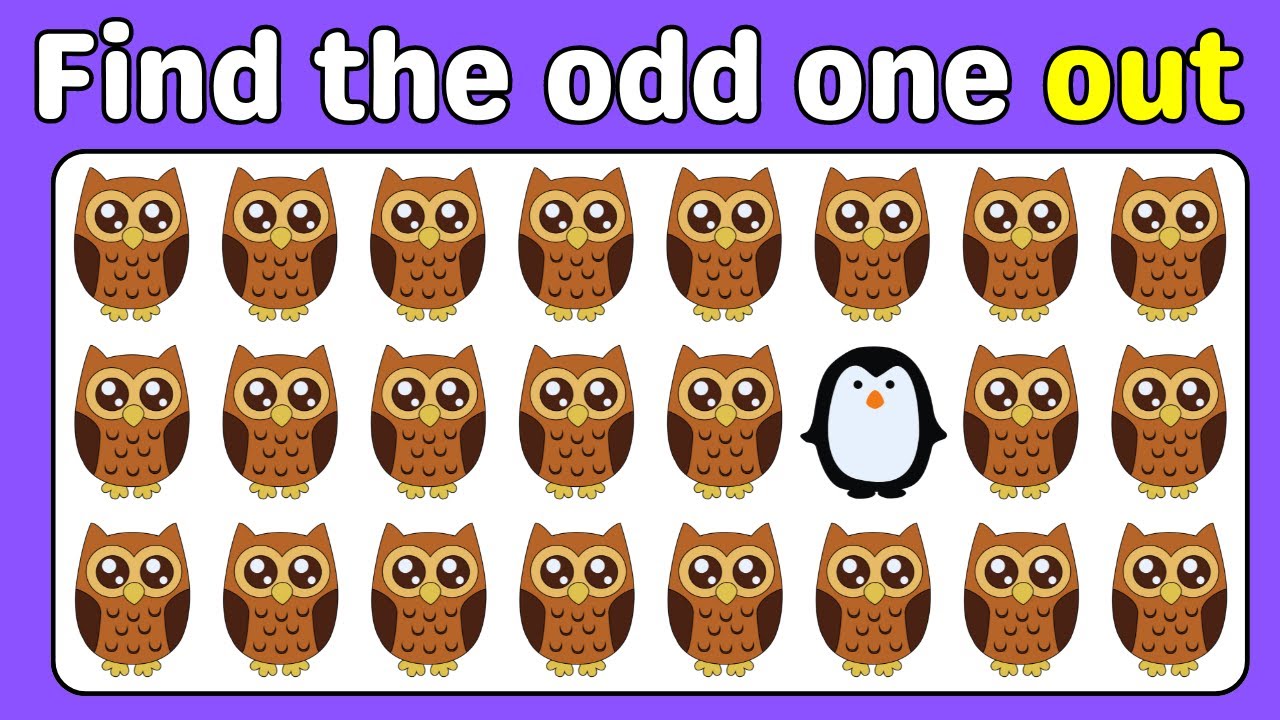 Find the Odd One Out - Animals Edition🐧🐯🦒 | Ultimate 40 levels - YouTube
