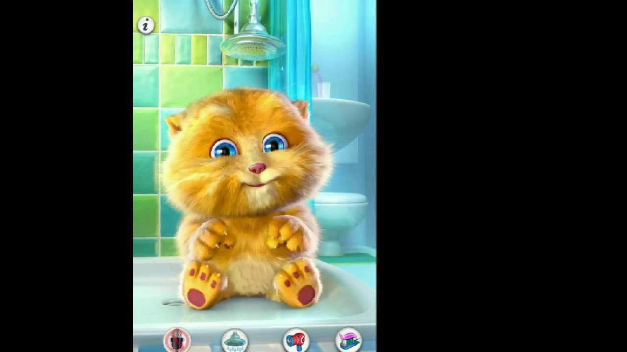 My Talking Ginger Cat bathes.My talking cat Ginger купается - YouTube