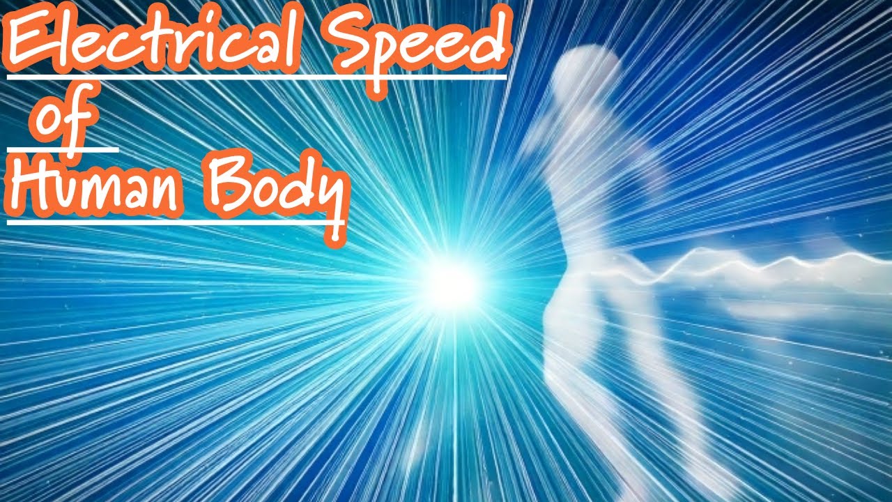 Human Body's Electrical Speed. - YouTube