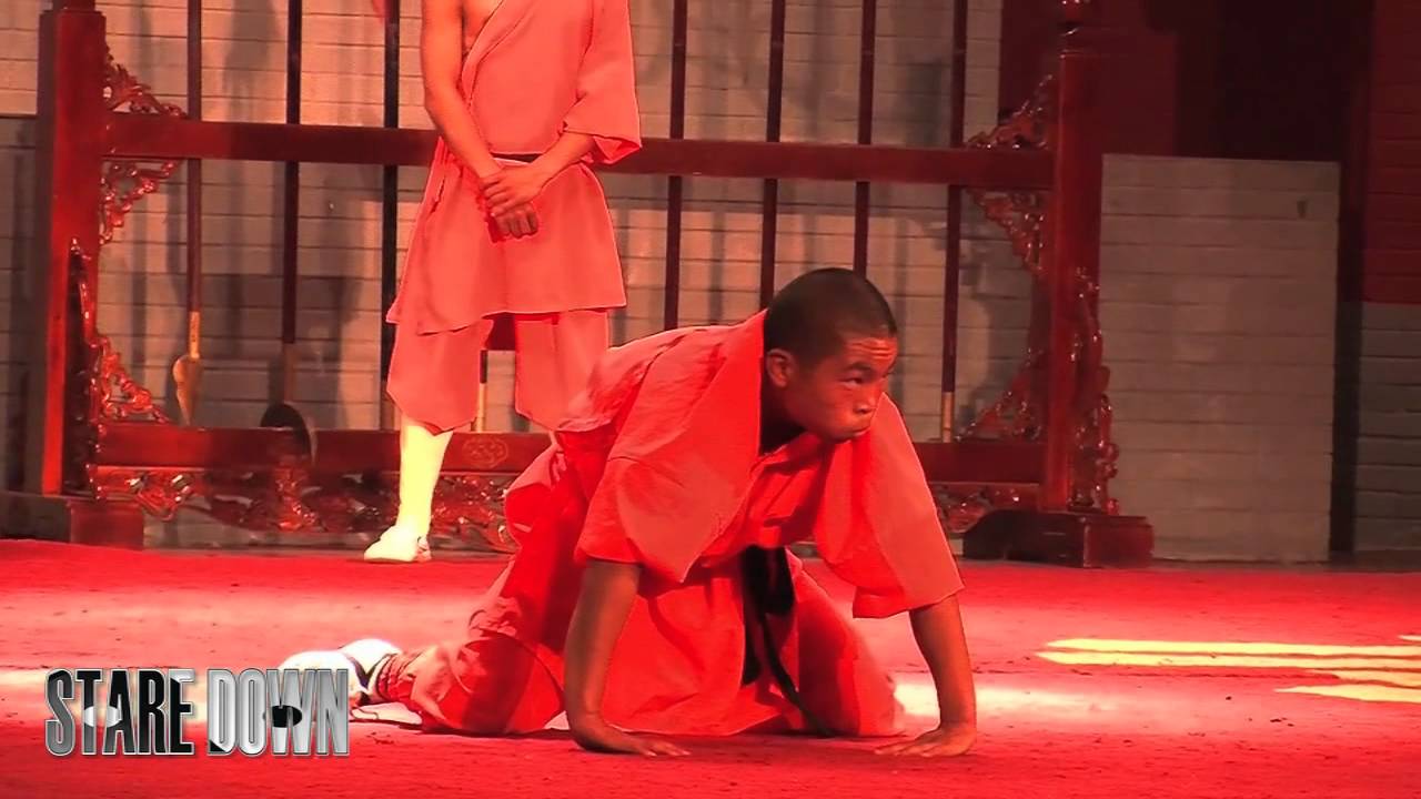 Shaolin Kung Fu Animal Forms.mov - YouTube
