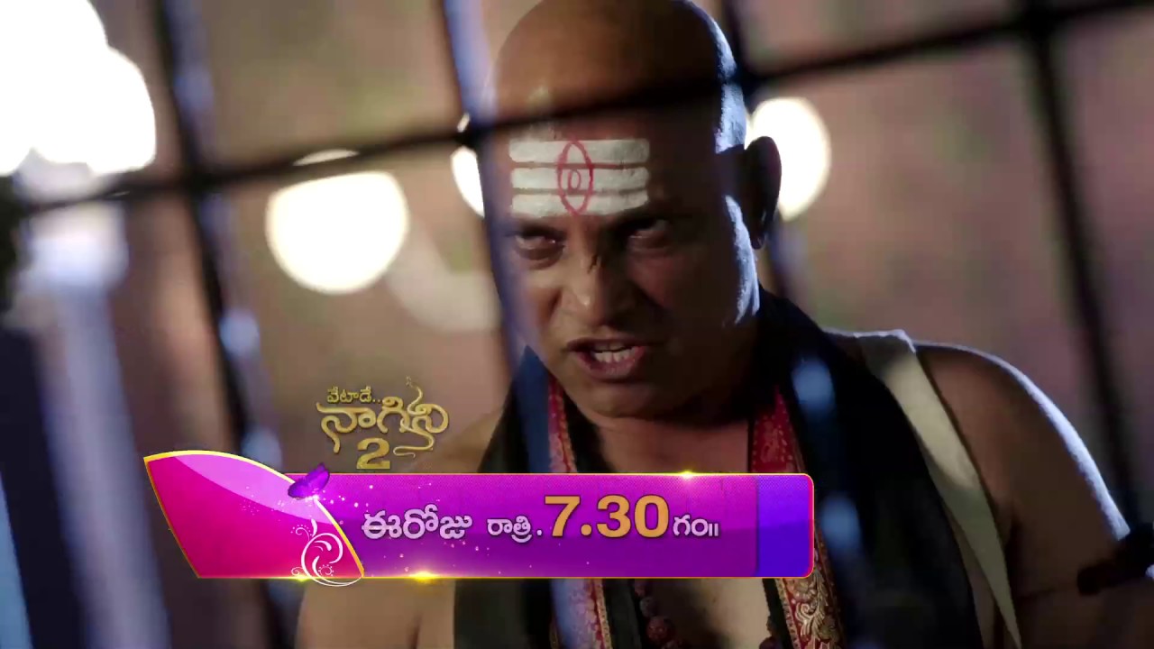 Nagini 2 | Today at 7.30 PM | Gemini TV - YouTube