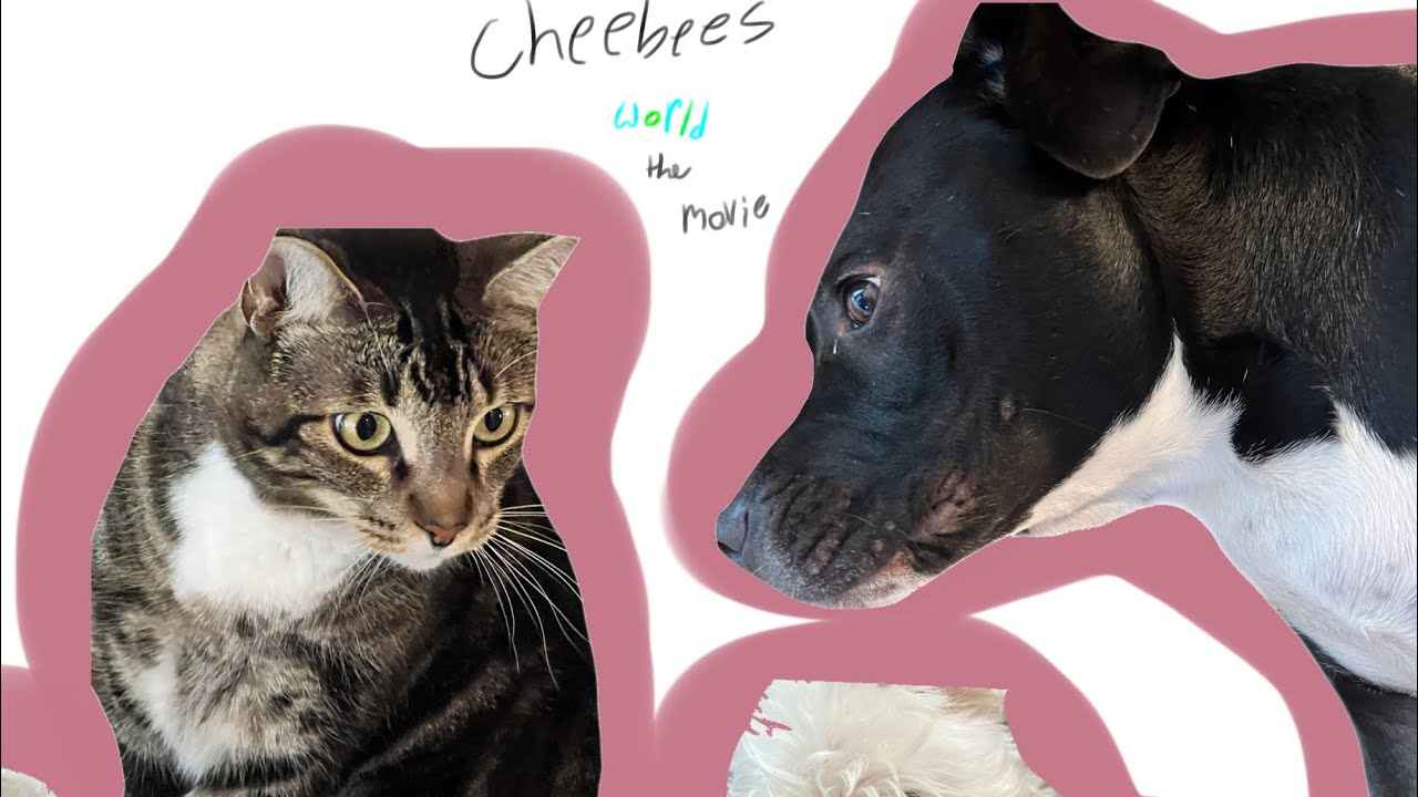 Cheebees world |the movie| - YouTube