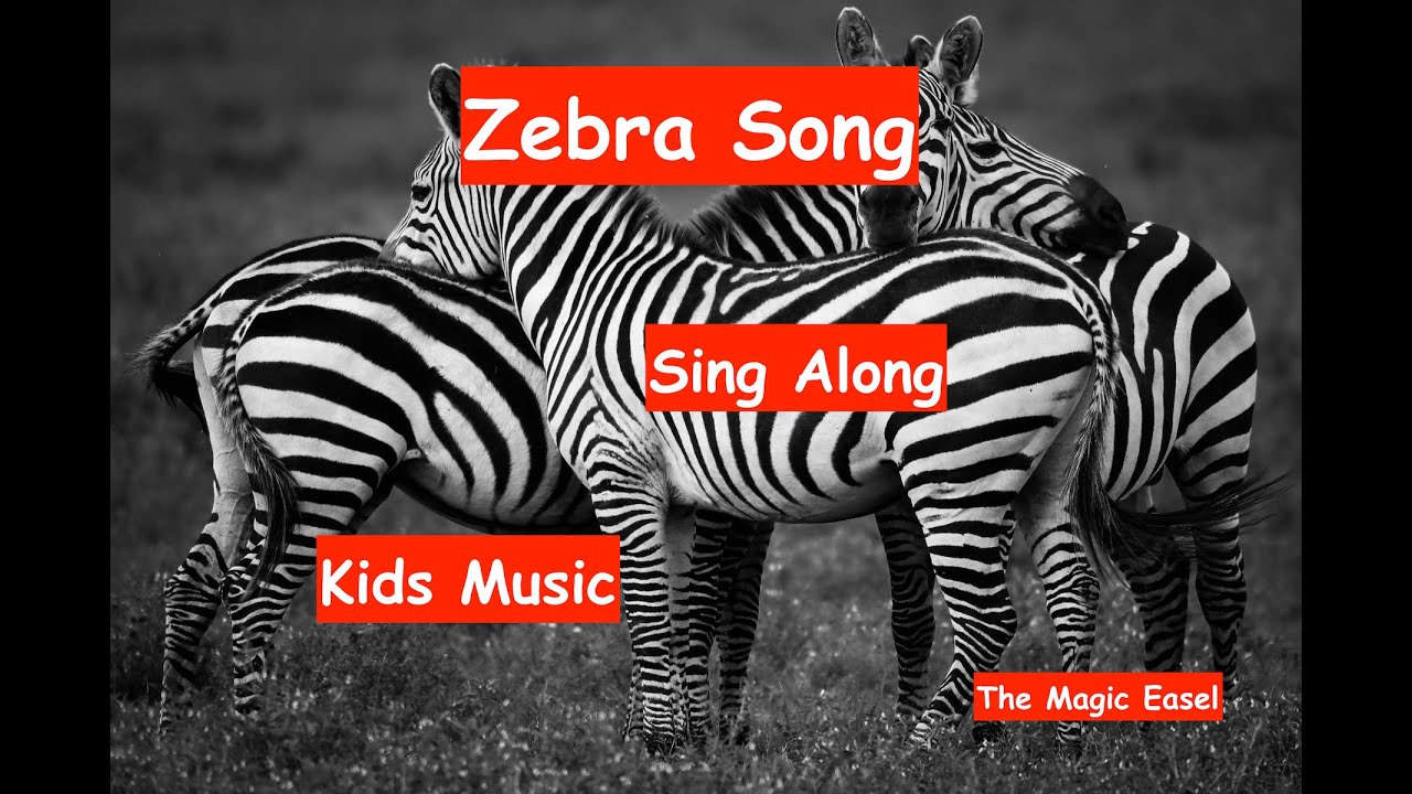 Kids Music, Zebra Song, Magic Easel, Kids Sing Along, Zoo, Kids Zoo ...