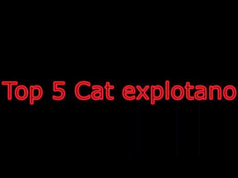 Top 5 cat Explotano Vocoded - YouTube