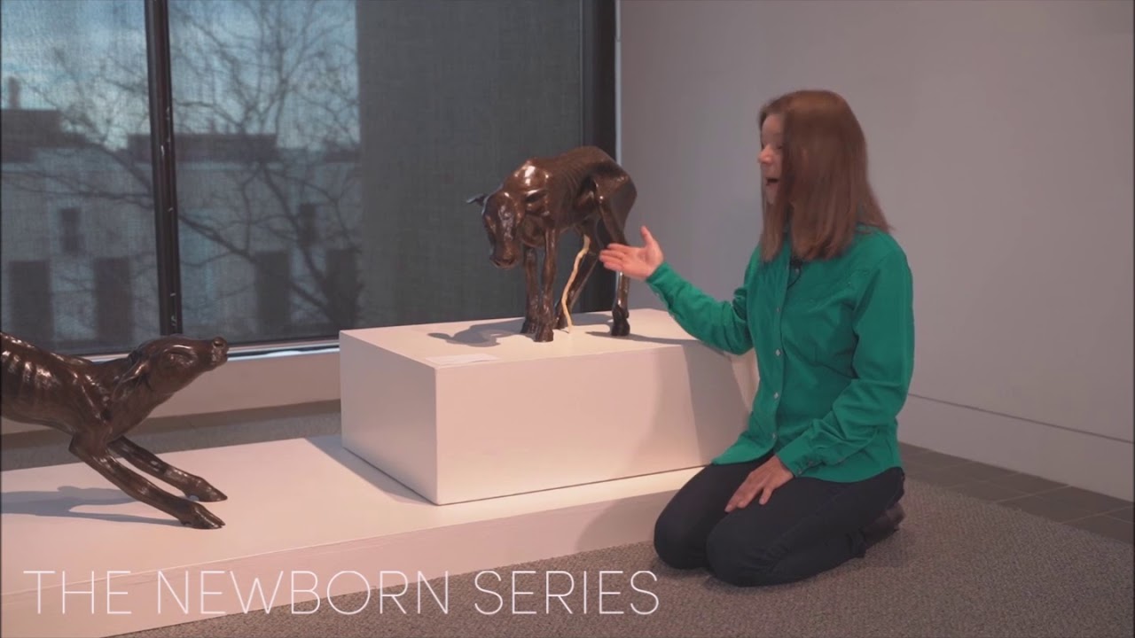 Tracy Linder - Newborn Series - YouTube