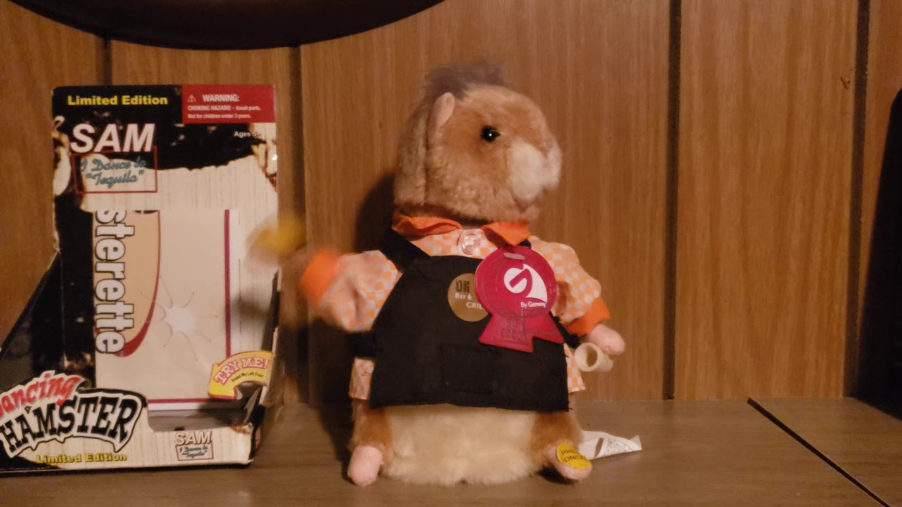 Dancing Hamster Sam - YouTube