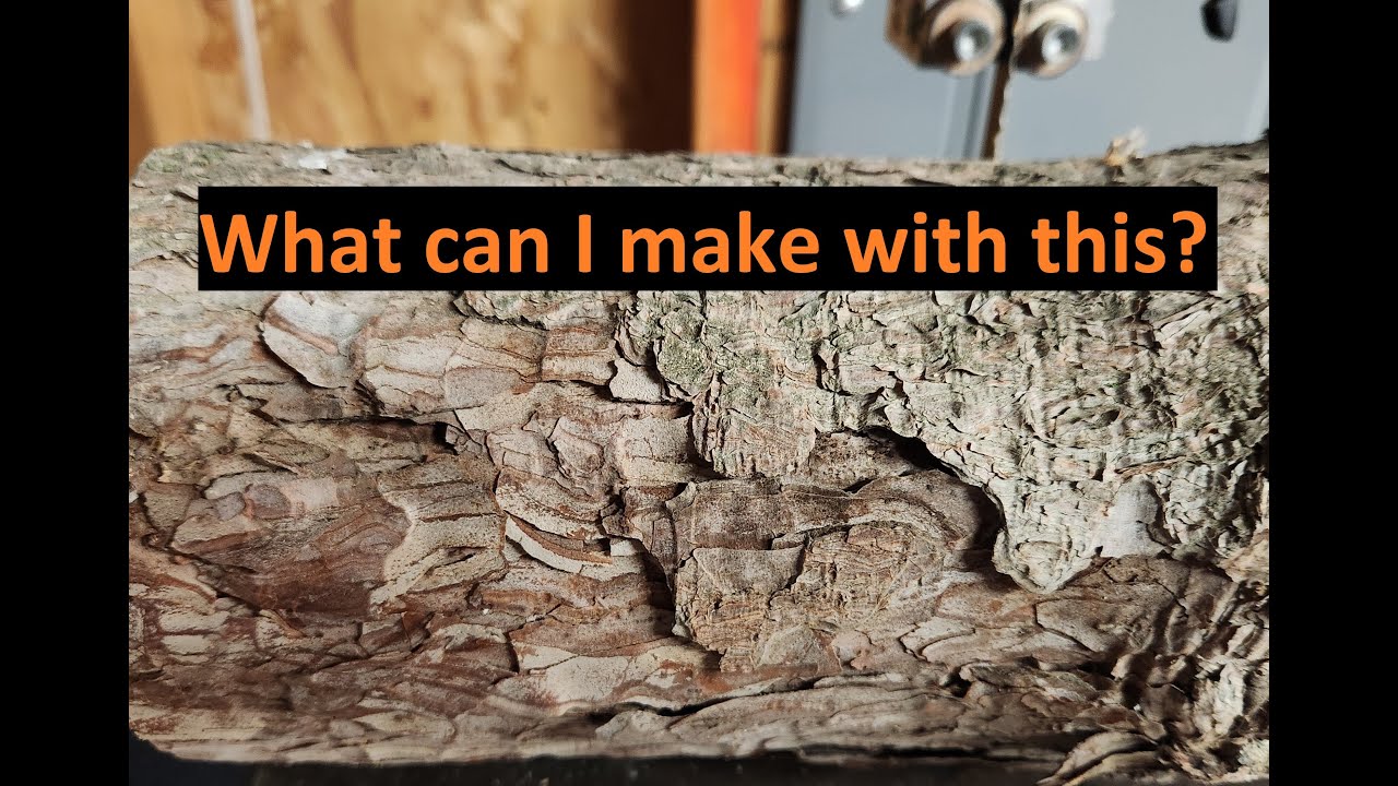 Quick Cup - small cup made from a very sappy green log - YouTube