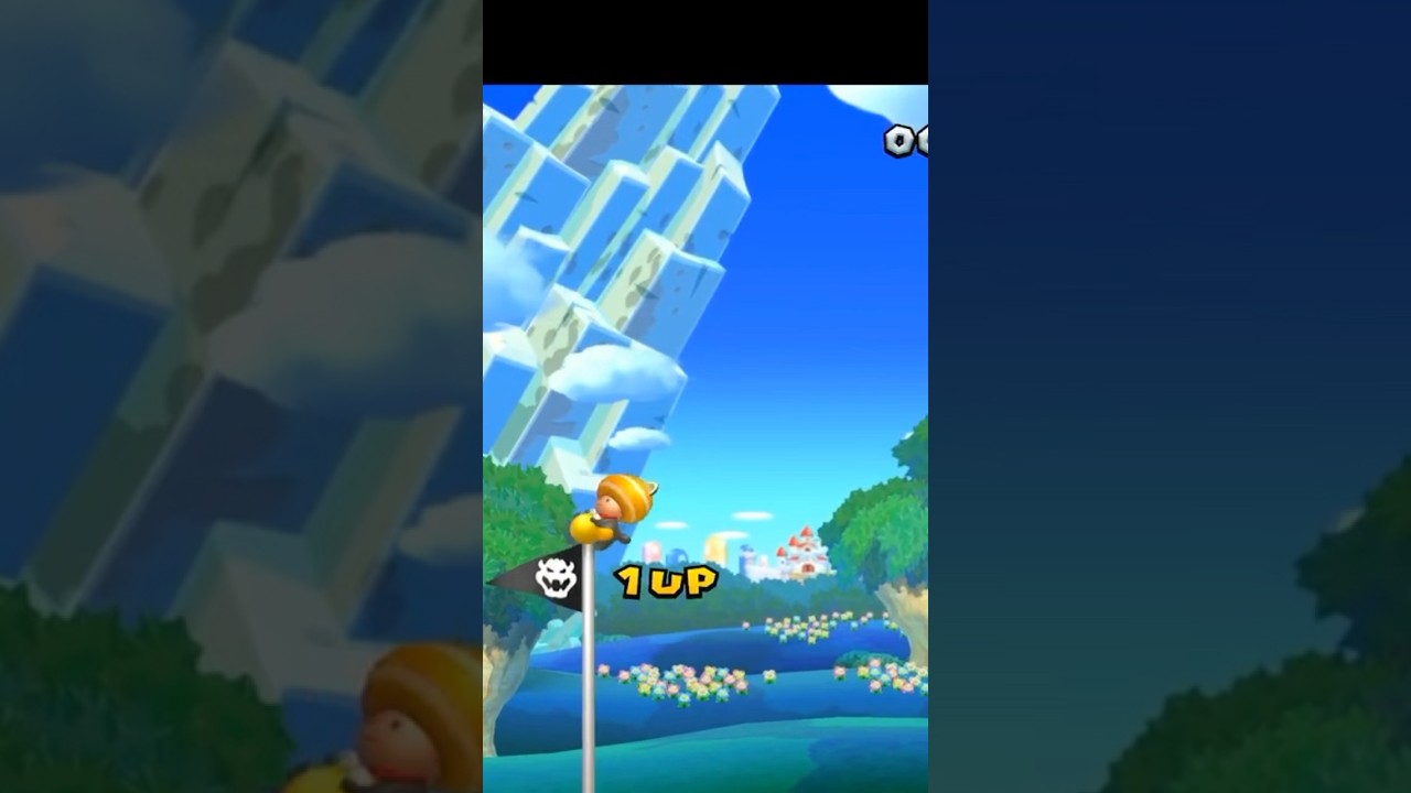 Toad does the flag #mario #mariobros - YouTube