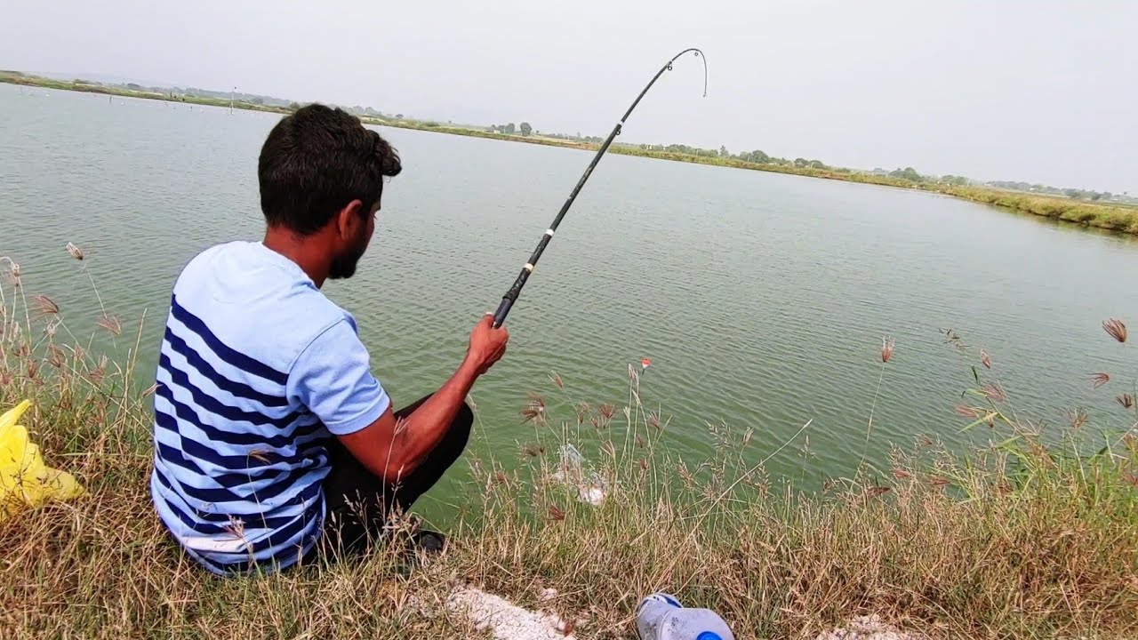 Fish hunting || Incredible piranha fish catching || Amazing red bellied ...