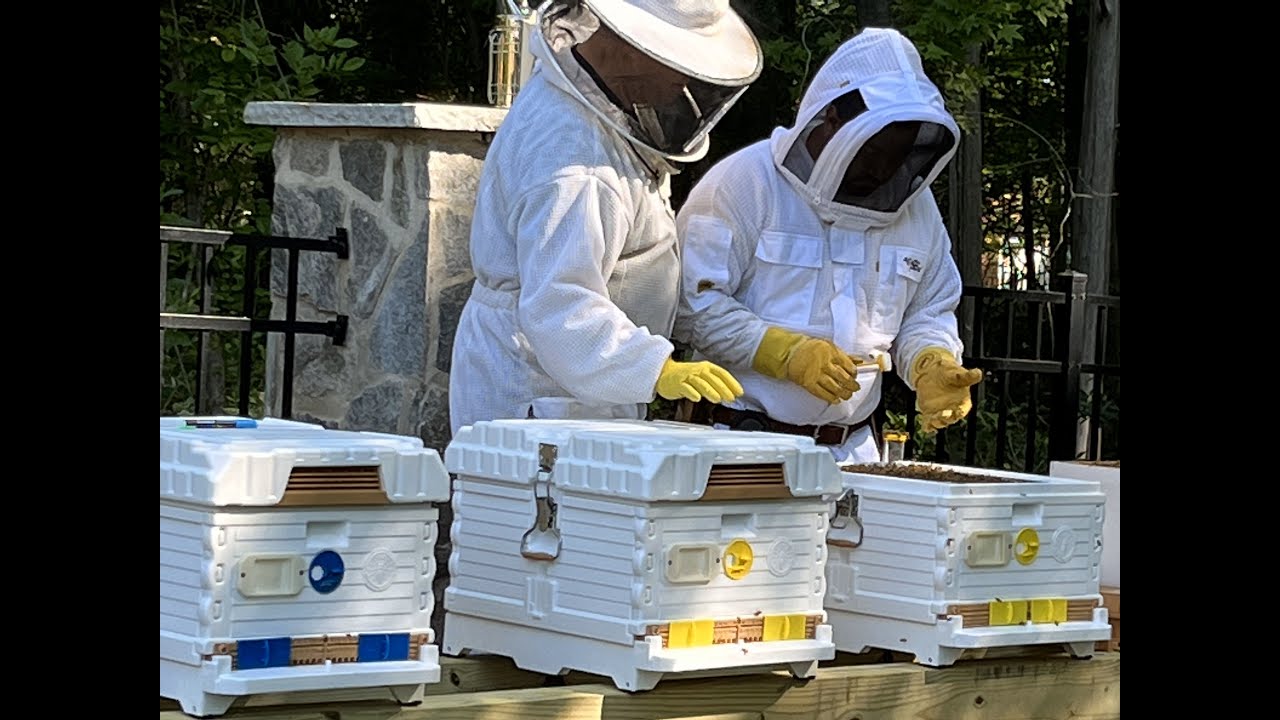 Welcome to SpringHill Farm & Apiary - YouTube