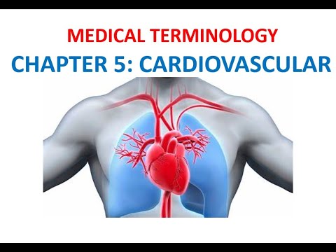 Language of Medicine Medical Terminology Chapter 11 Flashcards ...