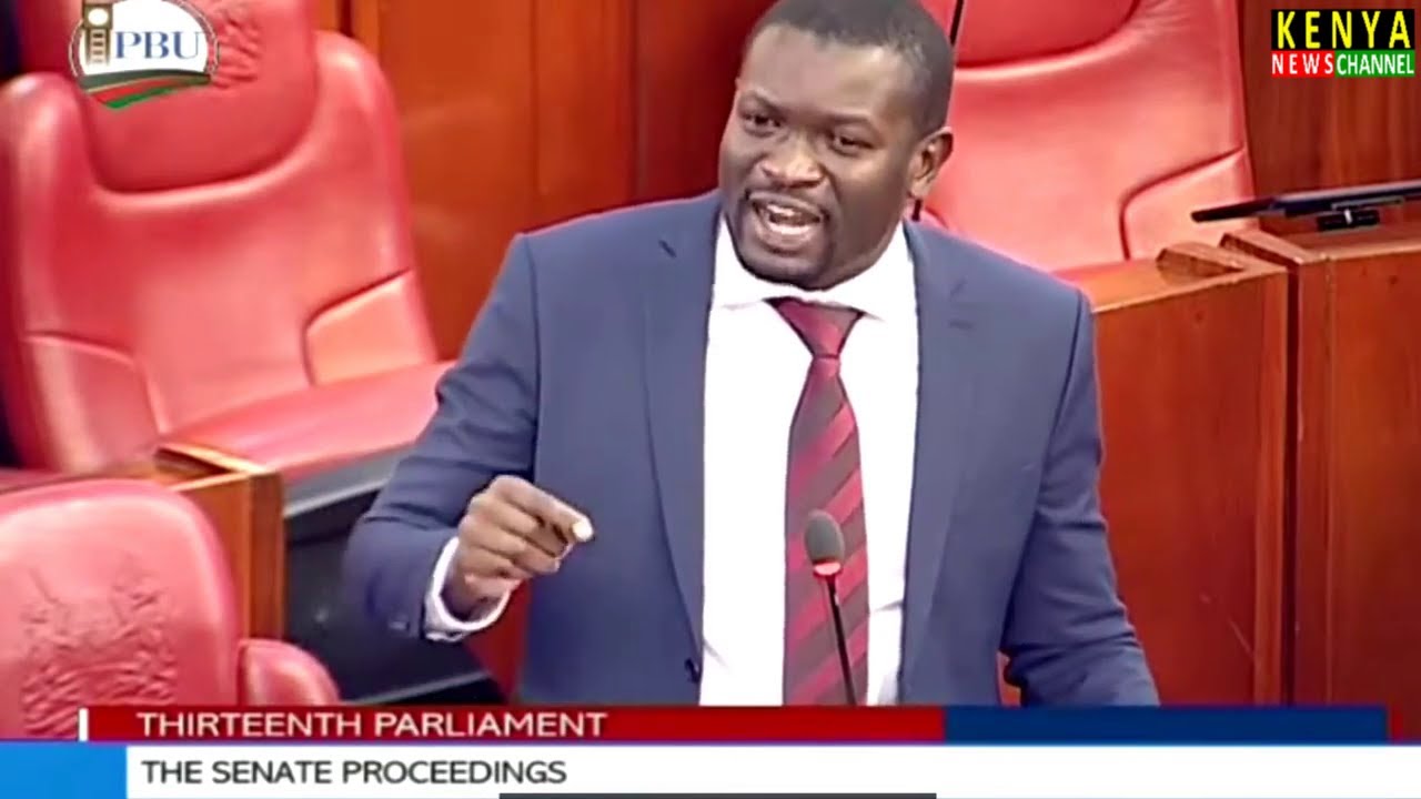 TOO MUCH WISDOM! LISTEN WHAT BRILLIANT SENATOR SIFUNA TOLD KENYA KWANZA ...