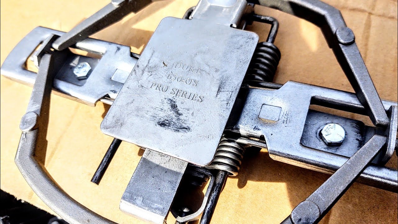 Review On The Duke 650 & Duke 550. Announcement At The End!! - YouTube