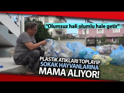 Okul Müdür Yardımcısı Sokak Hayvanları İçin Plastik Atık Topluyor