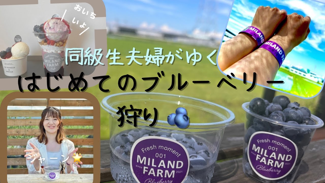 （vol.113）【ブルーベリー狩り】MILAND FARMではじめてのブルーベリー狩り&大垣に初上陸！24時間営業無人アイス - YouTube