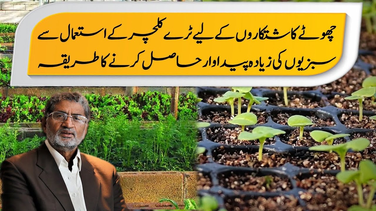 Benefits of Tray Culture in Agriculture | Regenerative Agriculture Tips ...