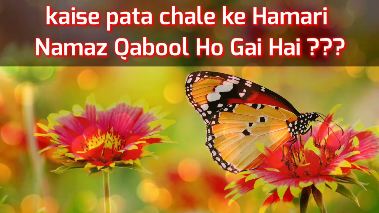 Islamic Whatsapp Status For Muslim || Latest Islamic status 2019 ...