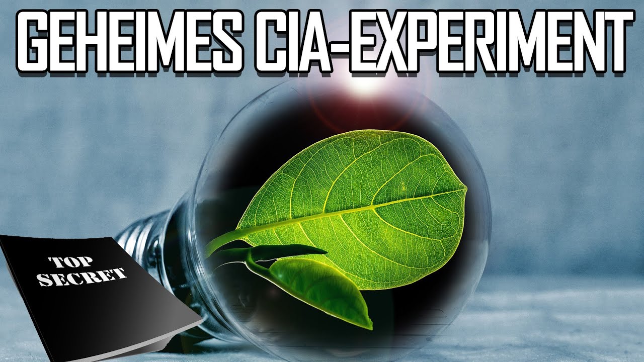 Unglaubliches CIA Experiment aufgedeckt! - YouTube