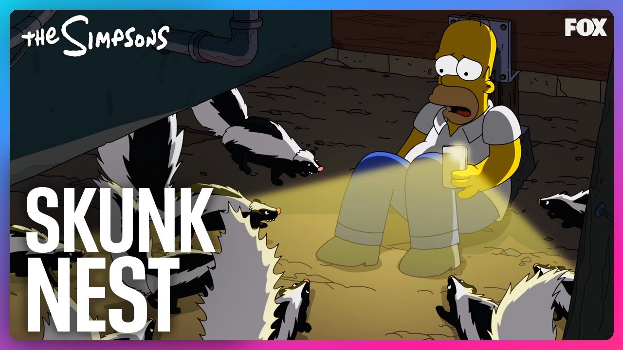 Homer Gets Attacked By Skunks | The Simpsons - YouTube