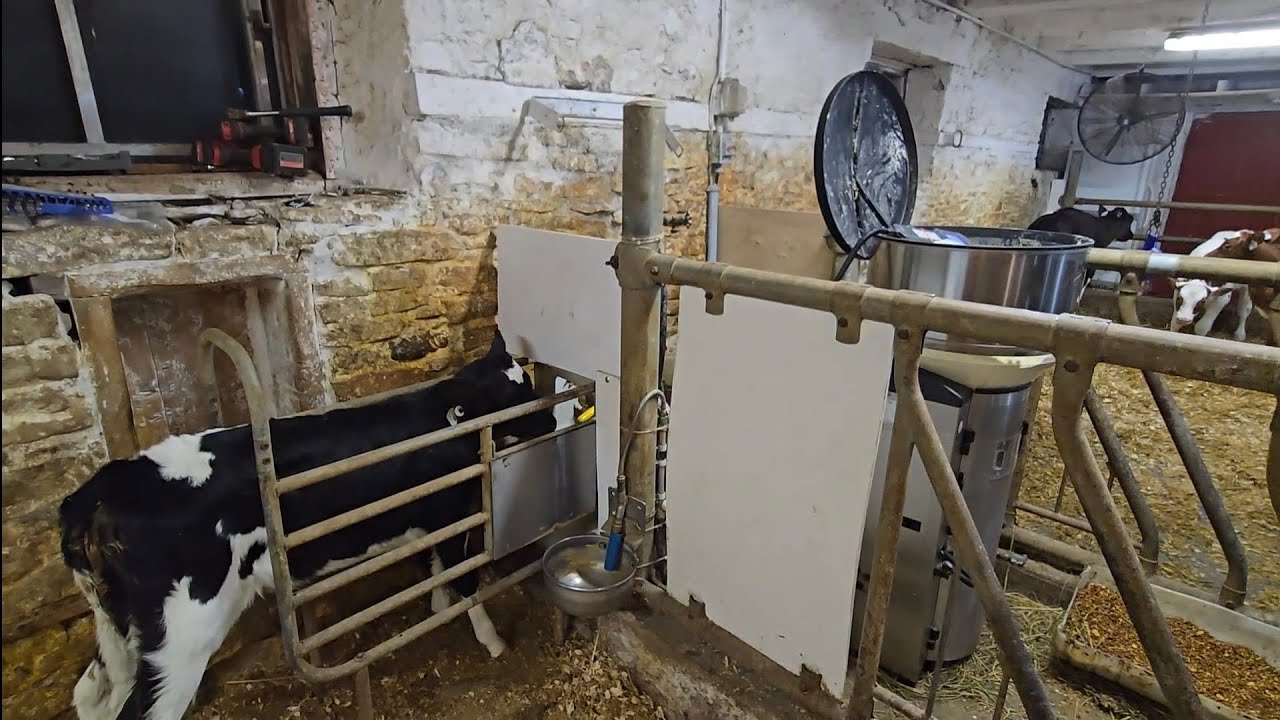 Robotic calf feeder repairs and maintenance - YouTube