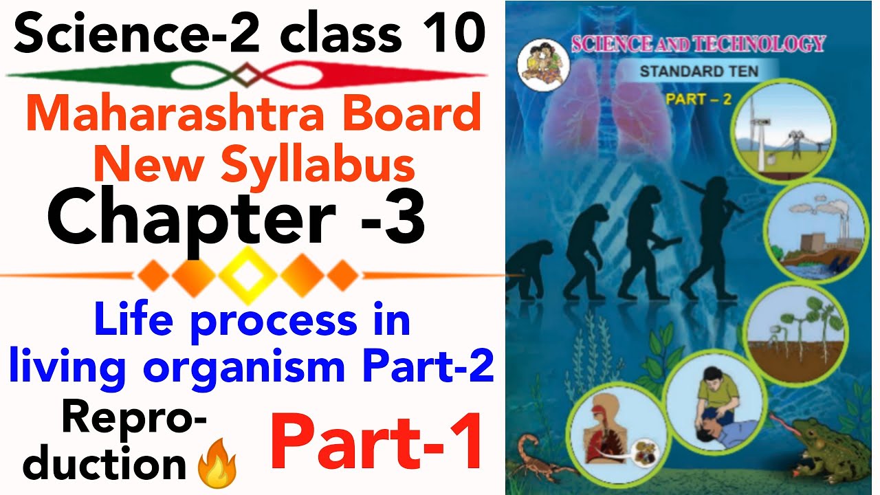 part-1 ch-3 life process in living organism part-2 class 10 science ...