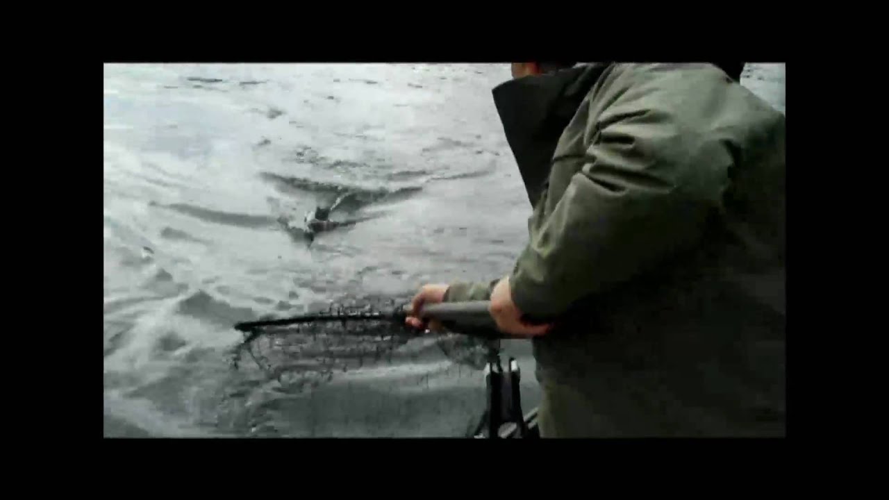 rogue river winter steelhead 2010 - YouTube