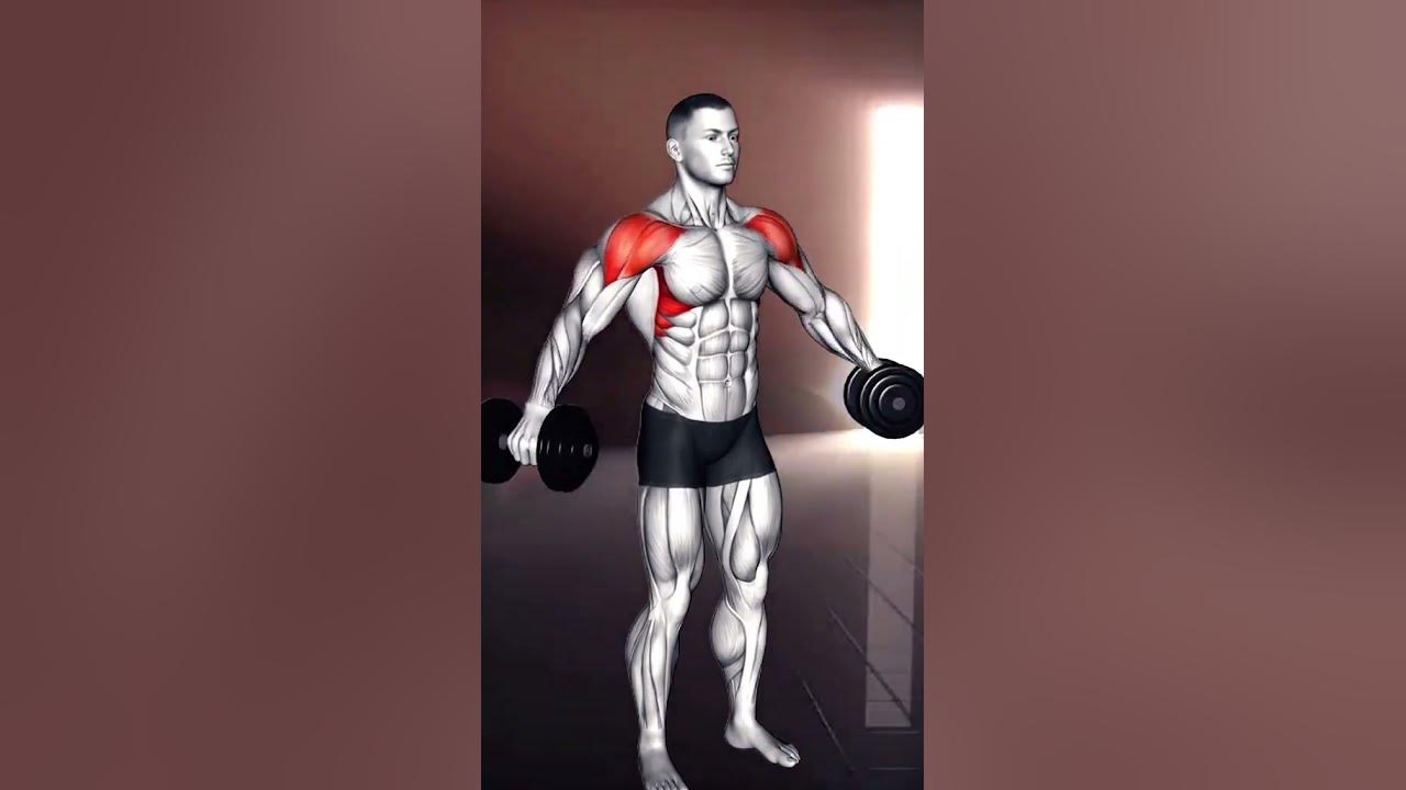 فجر عضلة الكتف و ترايسبس بهذه تمارين الرائعة 💪💪 💥 Youtube