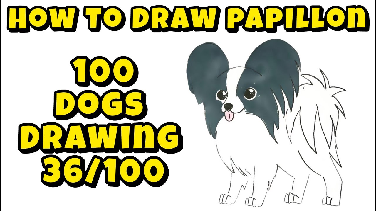 100 Dogs Drawing with RavlykArt: How to Draw Papillon in Episode 36/100 ...