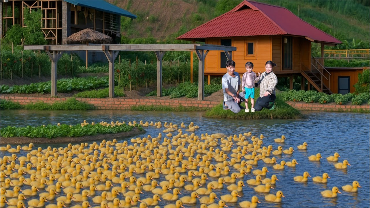 Building My OFF-GRID FARM WITH Ducks and Vegetables! Step-by-Step - YouTube