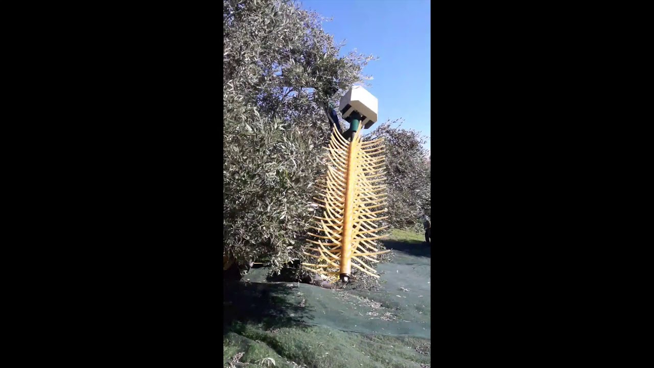 Ραβδιστικό CRF Olive One www.agroffers.gr CRF - YouTube