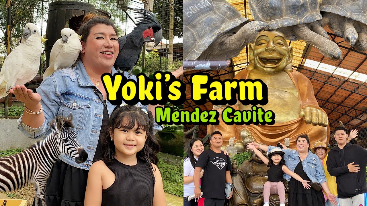 YOKI’s FARM - Mendez Cavite | Close Experience with Animals! - YouTube