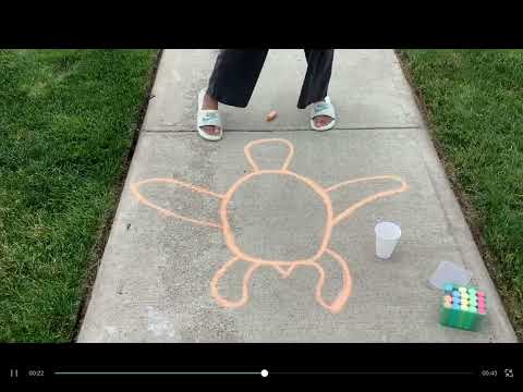 Making a Turtle with chalk - YouTube