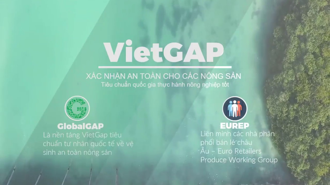 Tiêu chuẩn VietGAP trong nông nghiệp là như thế nào? - YouTube