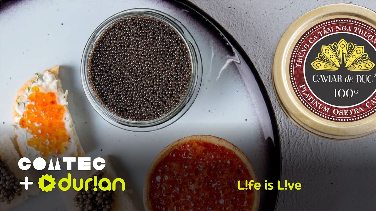 Caviar de Duc | COMTEC PRODUCTION x DURIAN - YouTube