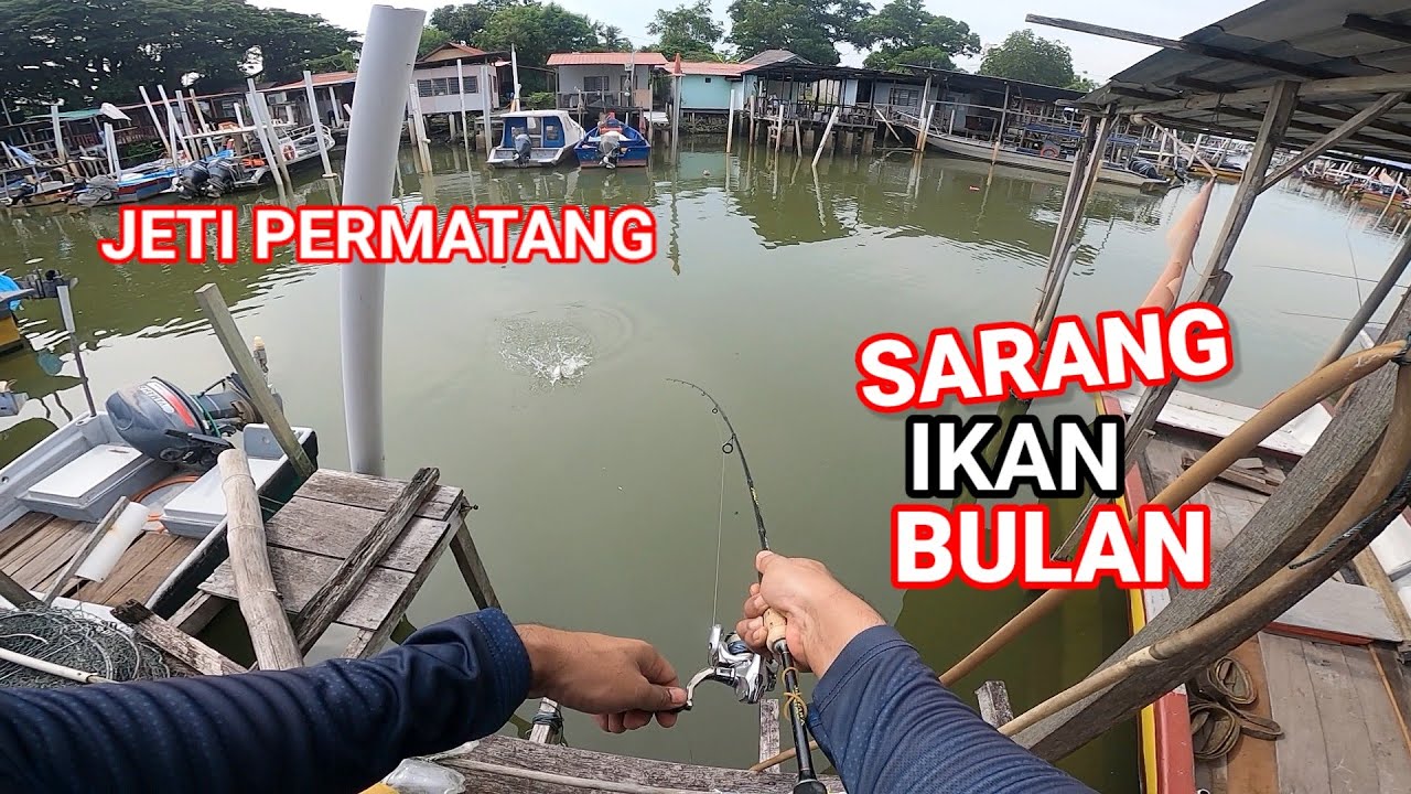 Puas Casting‼️Bersepah Ikan Bulan Jeti Permatang, Manjung - YouTube