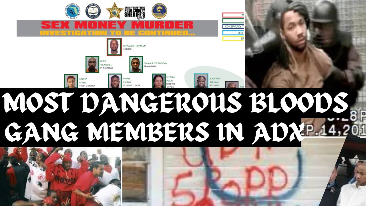 Most Dangerous Bloods gang members in ADX Florence Prison - YouTube
