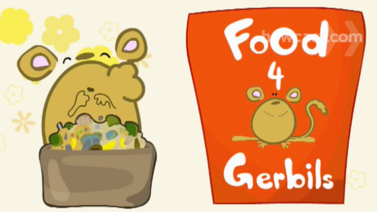 How to Care for a Pet Gerbil - YouTube