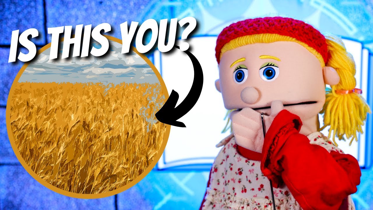 The Parable of the Sower | The Parables of Jesus Puppet Show ...