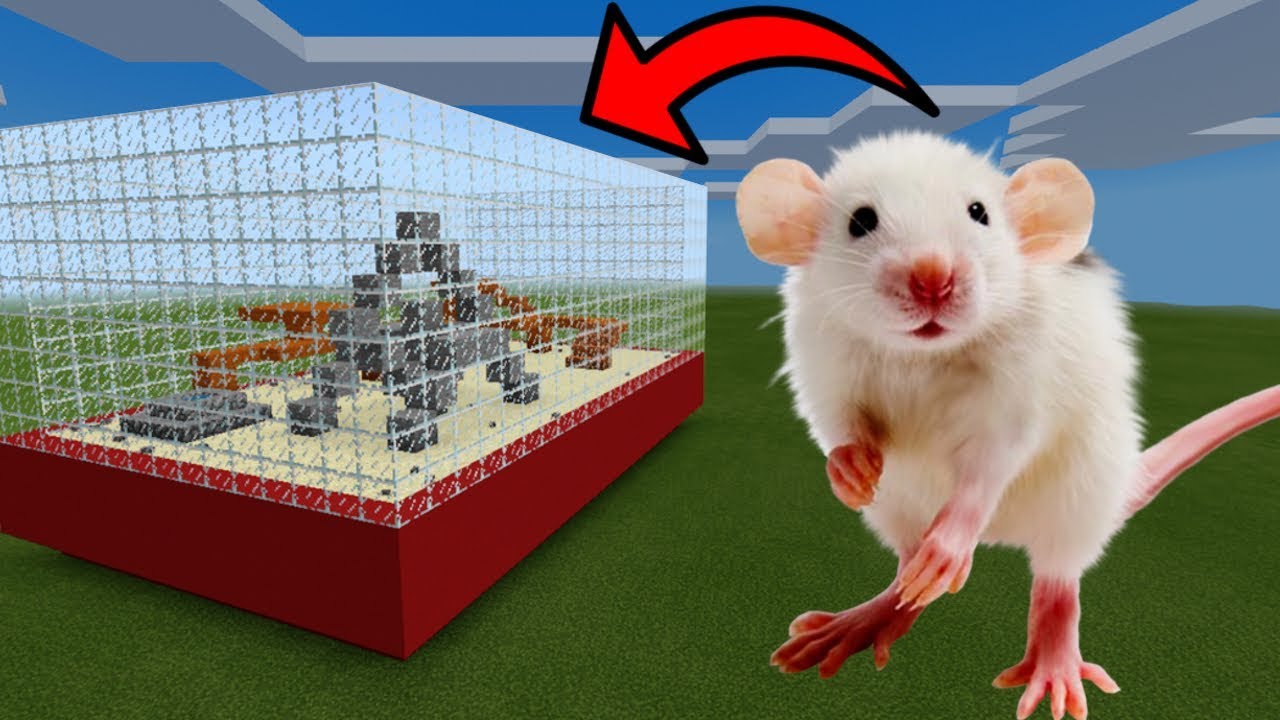 MCPE: How To Make a Mouse Farm - YouTube