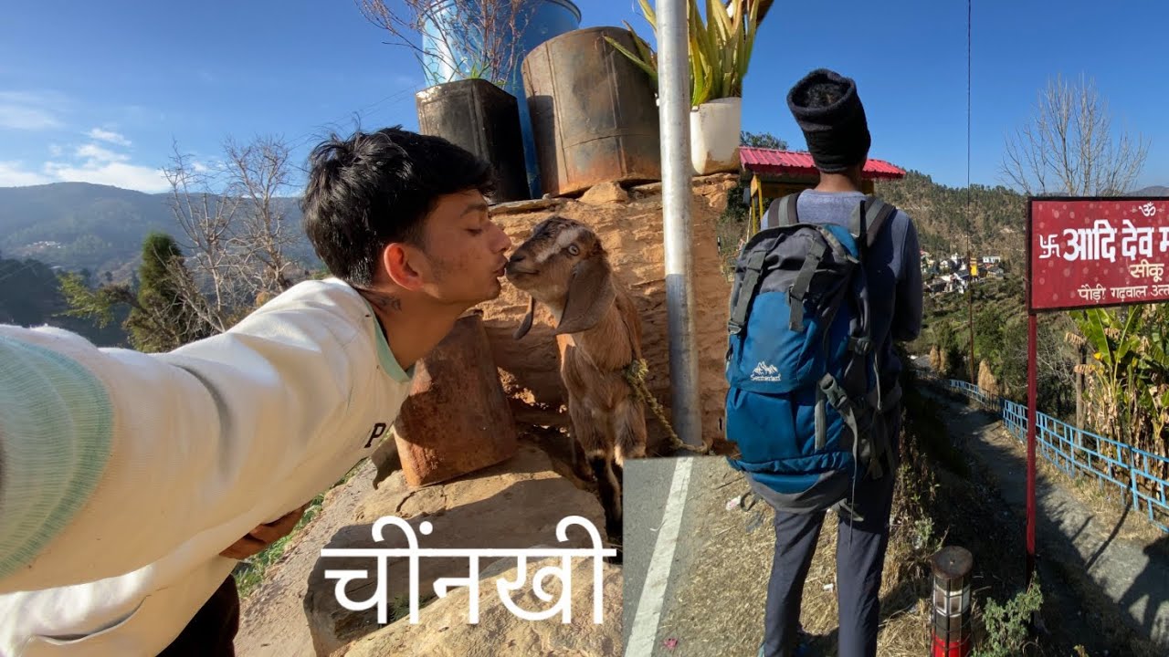 PAHADO ME KHUBSURAT BURANSH KE FOOL || पहाड़ो में ख़ूबसूरत चीनखी - YouTube