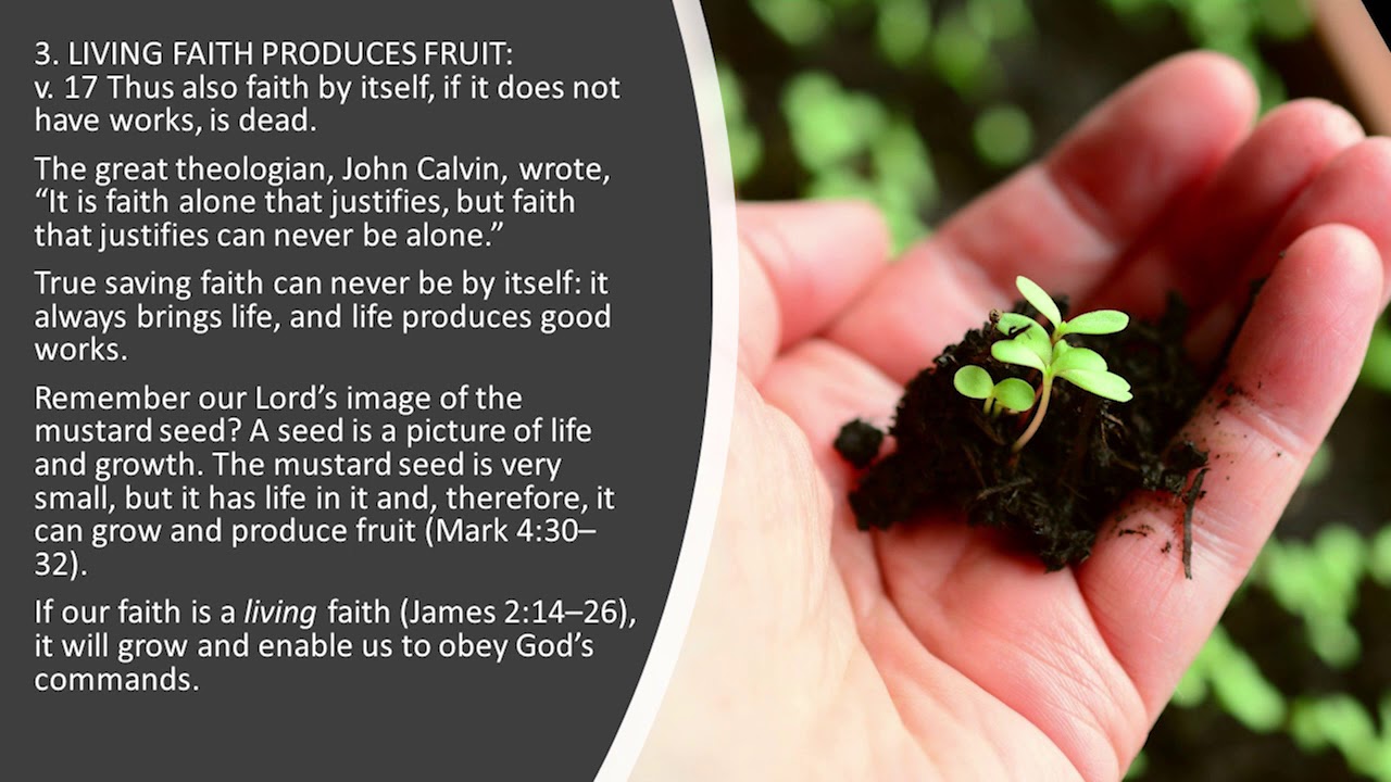 AUTHENTIC CHRISTIANITY--The Delight Of Dynamic, Living Faith In James 2 ...