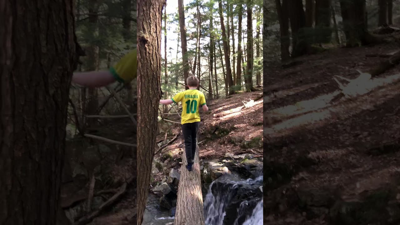 Log walk (over waterfall!) - YouTube