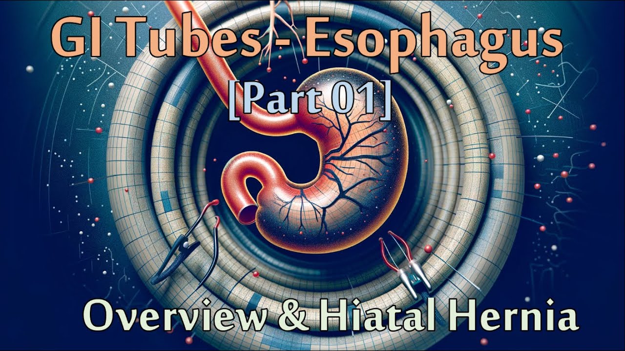 GI Tubes Overview - Hiatal Hernia & GI pain/bleeding [Recorded LIVE ...