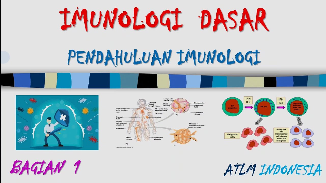 Pendahuluan Imunologi | Imunitas Alami | Analis Kesehatan TLM | Materi ...
