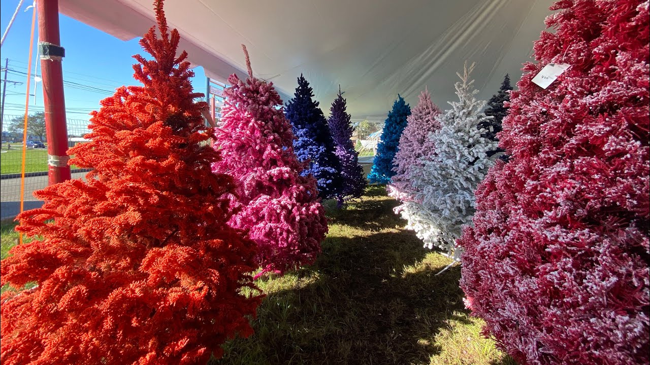 Colorful Christmas Trees | Real Colored Trees | VLOGMAS 2020 - YouTube