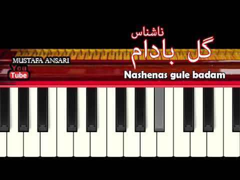 Nashenas gule badam گل بادام ناشناس