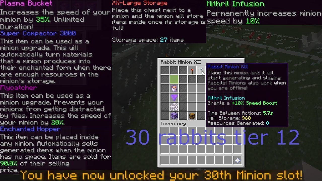 Complete 30 Minions Tier 12 Rabbit Permanent Upgrade (Skyblock) - YouTube