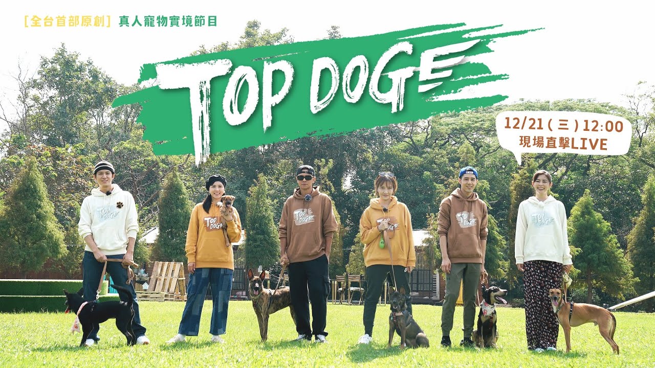 🐶全台首部真人寵物實境節目 《TOP DOG》 現場直擊｜三立新聞網 SETN.com - YouTube